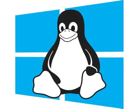 Windows 10 和 Linux 之间的 5 个根本区别