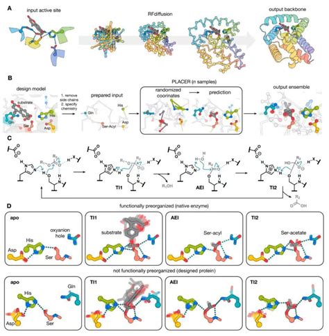 Ai首次“从零开始”设计蛋白酶—新闻—科学网