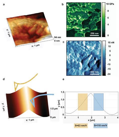 A Topography B Modulus And C Error Signal Mappings Of Grain Download Scientific Diagram