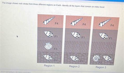 Solved The Image Shows Rock Strata From Three Different Regions On