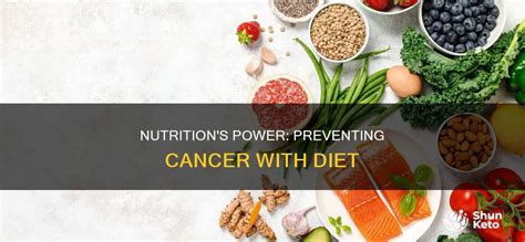 Nutritions Power Preventing Cancer With Diet Shunketo