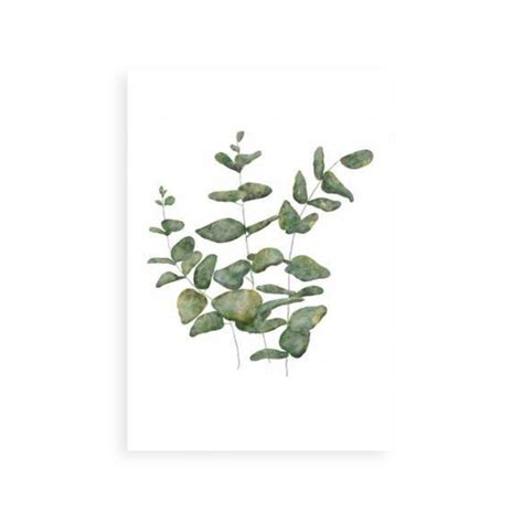 Free Printable Eucalyptus Leaves Download Free Printable Eucalyptus