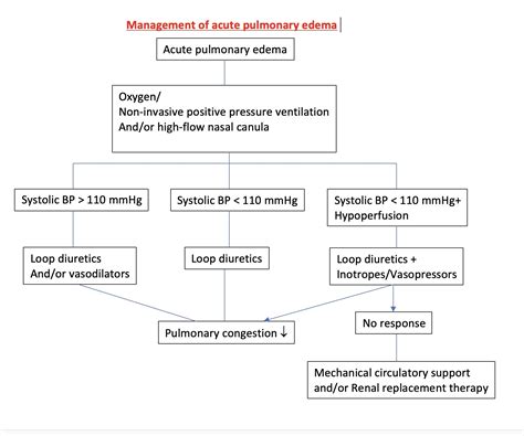 Acute Pulmonary Edema Stetho And Pen