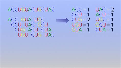 An Innovative Non Linear Alignment Algorithm To Compare Non Coding Rnas
