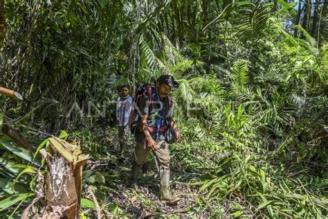 java storm monitoring line development plan antara foto