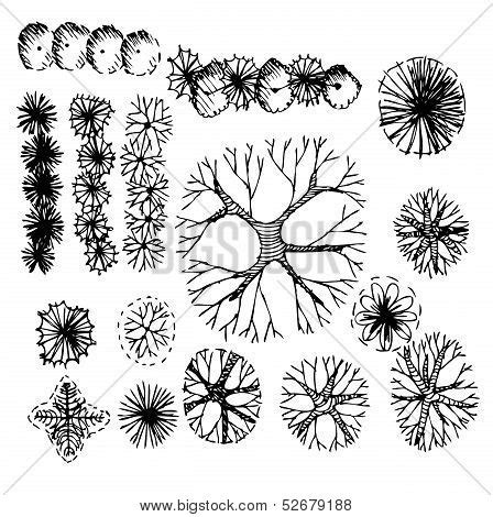 Trees Top View Vector Photo Free Trial Bigstock