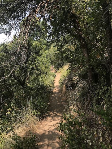 Beus Canyon Mountain Biking Trail Ogden Utah