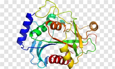 Tree Line Clip Art Area Transparent PNG