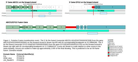 converting svg to png using imagemagick 6 5 4 text not displayed on