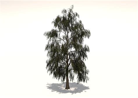 Model Tree Free 3d Models Download Free3d