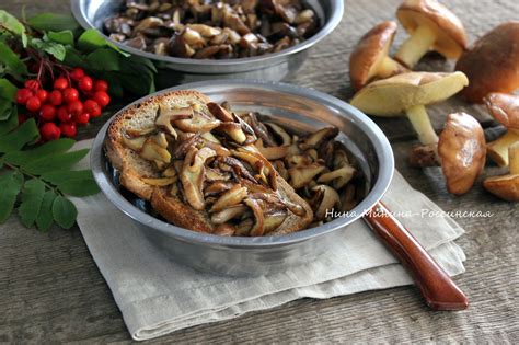 жареные маслята: nina_minina — LiveJournal