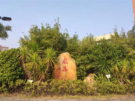 珠海这所公办学校将改扩建，新增270个学位！ 知乎