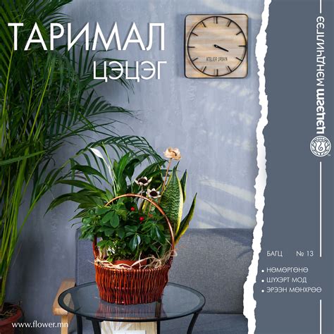 Цэцэгт мэндчилгээ Цэцэг хүргэлт