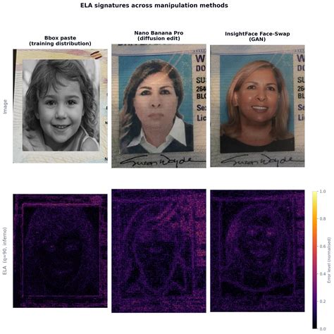Detecting What Youve Never Seen Ood Robustness In Document Portrait
