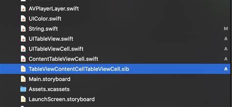 Xcode How To Edit File Name In File Inspector Stack Overflow
