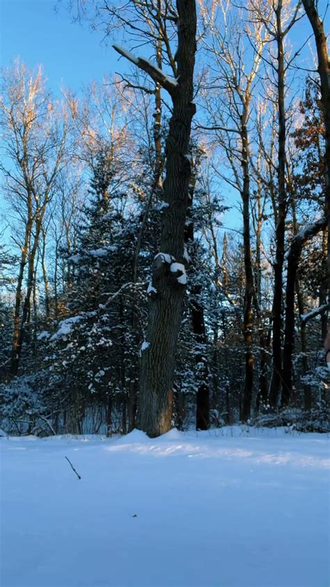 Positivity Affirmations Lumbersnack Happythoughts Goodnight