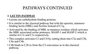The Complement System PPTX Blood Disorders Diseases And Conditions