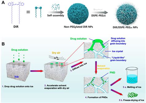 A Self Assembly Of Dir Molecules Into Uniform Nano Assemblies