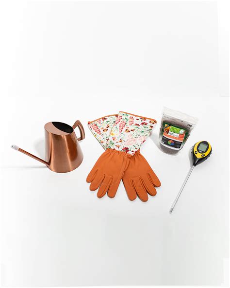 Garden Starter Kit Plant And Accessory Bundle Lively Root