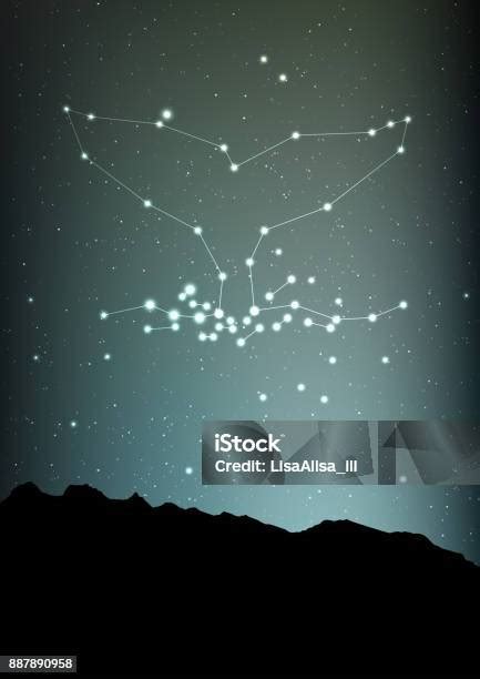 고래 자리 벡터 아트 별자리와 밤하늘에 별 바다 고래 숲 풍경 및 선와 빛나는 점 깊은 어두운 하늘에 별이 빛나는 고래 고래에