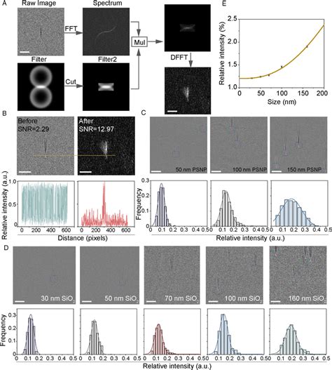 Automatic Identification And Intensity Analysis Of Single Nanoparticle