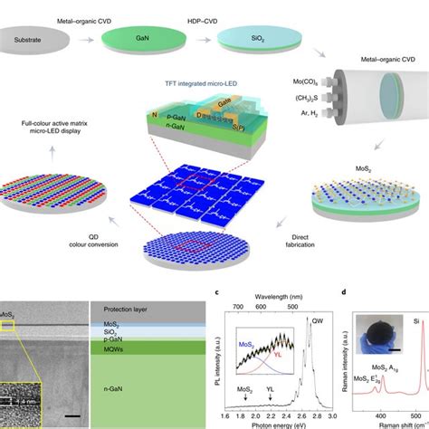 Wafer Scale Monolithic Integration Of Full Colour Micro Led Display Using Mos2 Transistor