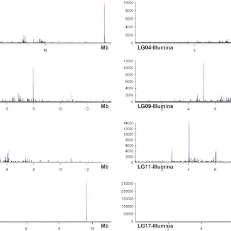 The Plot Showed The Distribution Of Coverage Of Illumina Short Reads