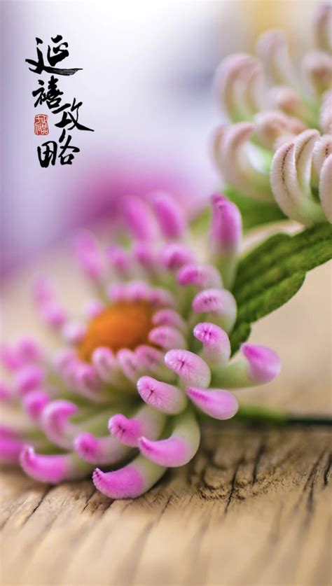 延禧宫略 堆糖，美图壁纸兴趣社区