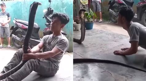 Viral Snake Dance Video Its Very Much Dangerous Dont Even Try Watch