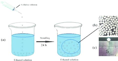 The Schematic Of The Formation Procedure Of Cellulose Beads A And