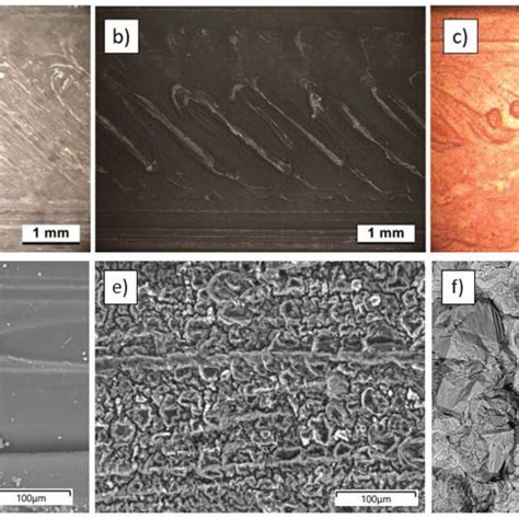 Surface Morphology Of A Abs B Abs Treated With Ppy And C
