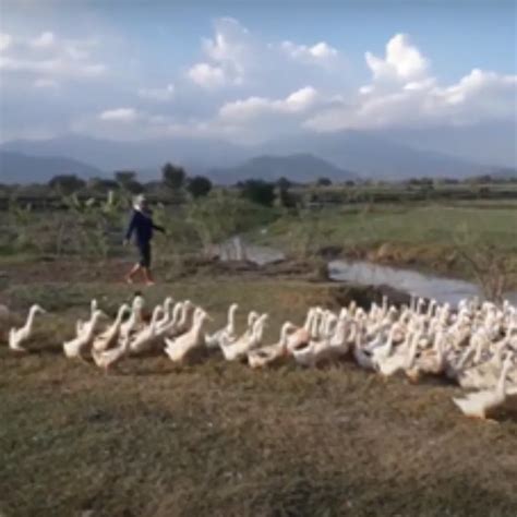 Pham Thi Ngoc Lan Mekong Plus