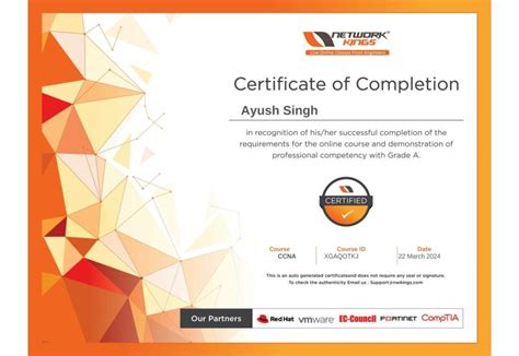 Ayush Singh On Linkedin I Learn Network Is Important Role In Cybersecurity Under Varun Sir In