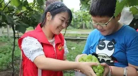 苏州这个街道的能人库，助大走访一臂之力