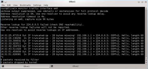 How To Run Junos Installed On Qemu On Virtualbox Part2 Udp Tunnels
