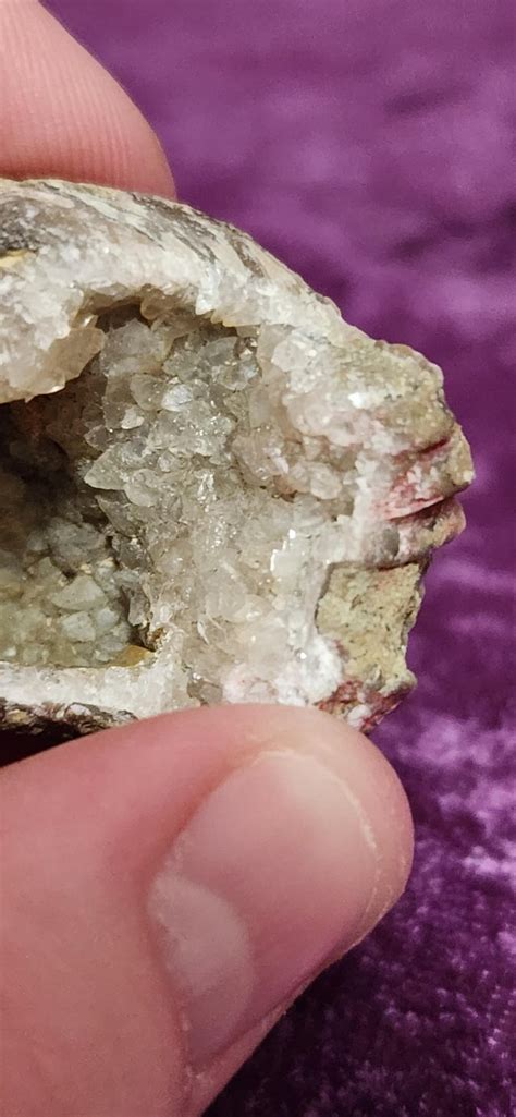 A Brachiopod Fossil Found In Nky Turned Into A Geode R Fossilporn