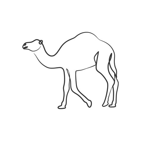 camel continuous one line art drawing 17633055 vector art at vecteezy
