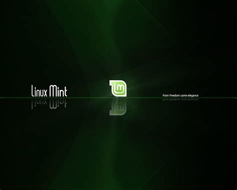 Linux Mint Wallpapers Wallpaper Cave