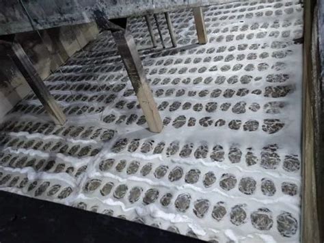 AIRTECH 12 EPDM Membrane Disc Diffuser At 1300 Piece Disc Diffusers In Medak ID