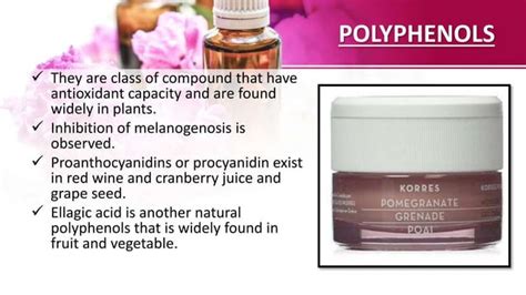 Antioxidants And Bleaching Agents Used In Cosmetics Pptx