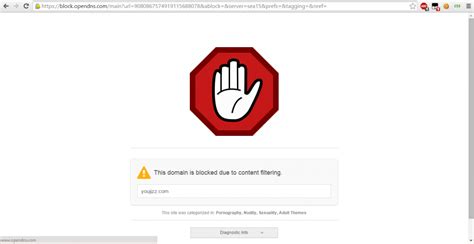 Opendns Blocked Logo Freestyler Ws