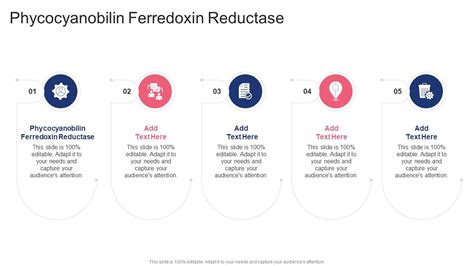 Phycocyanobilin Ferredoxin Reductase In Ppt Powerpoint Presentation Slide Templates Cpp Ppt Example