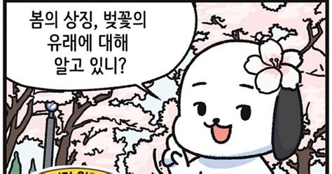 [신문과 놀자 고독이의 토막상식]벚꽃의 유래