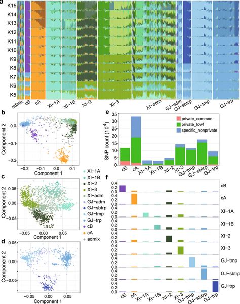Population Structure And Subpopulation Differentiation A Admixture