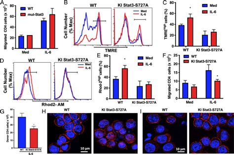Il 6 Enhances Cd4 Cell Motility By Sustaining Mitochondrial Ca2 Through The Noncanonical Stat3