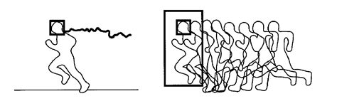 Region Detection Device Region Detection Method Image Processing Apparatus Image Processing