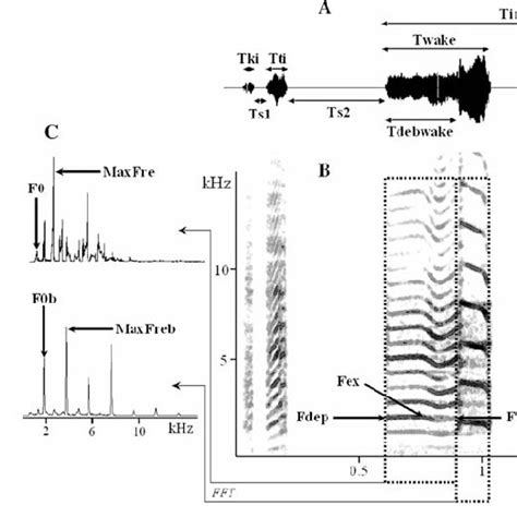 Oscillogram A Spectrogram B And Power Spectra C Of A Long Call Download Scientific
