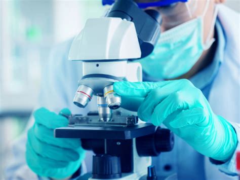 Newly Discovered Virus In Alabama Related To Disease Causing Henipavirus In Humans Heersink