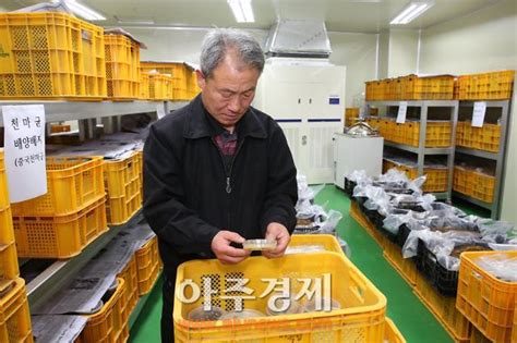 무주군 천마 신기술 실증시험포 조성 아주경제