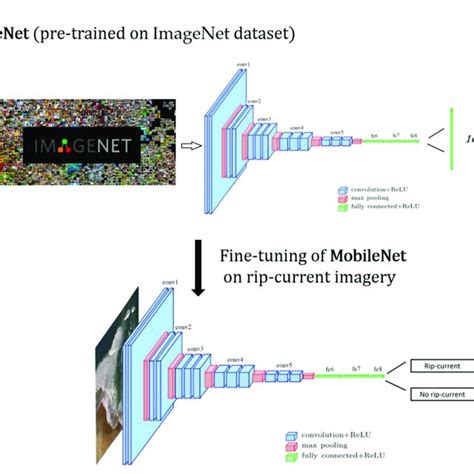 The General Application Of Applying Transfer Learning First A Cnn Download Scientific Diagram